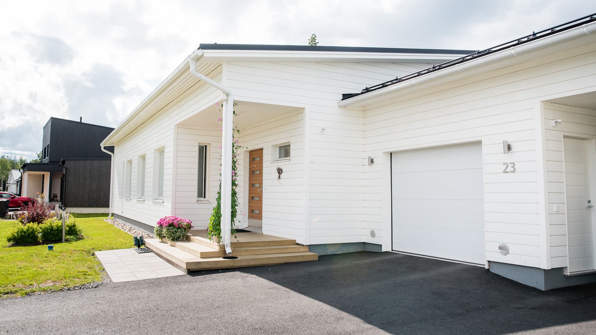 Paperitoukka: Pieni, mutta ilkeä tuholainen