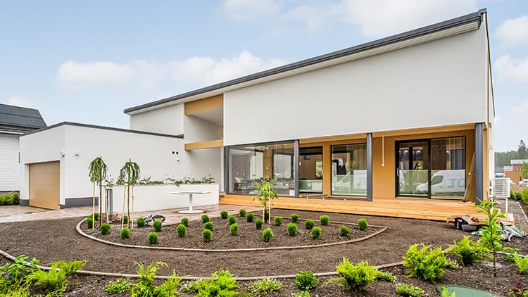 Paperitoukka: Pieni, mutta ilkeä tuholainen