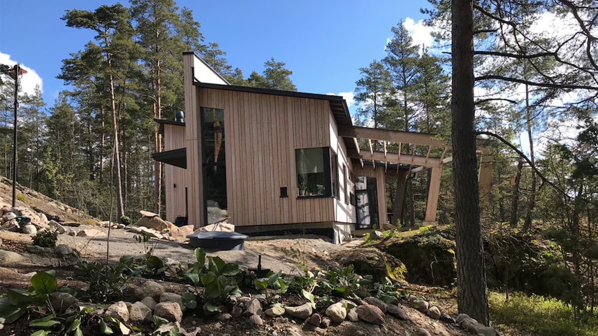 Paperitoukka: Pieni, mutta ilkeä tuholainen